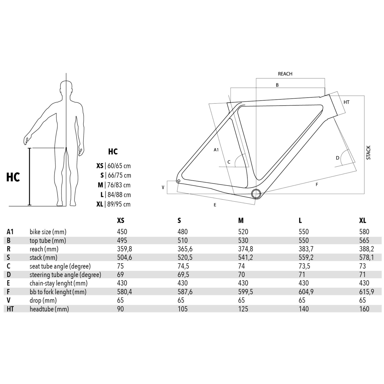 Basso Palta Frameset – Cyclefit