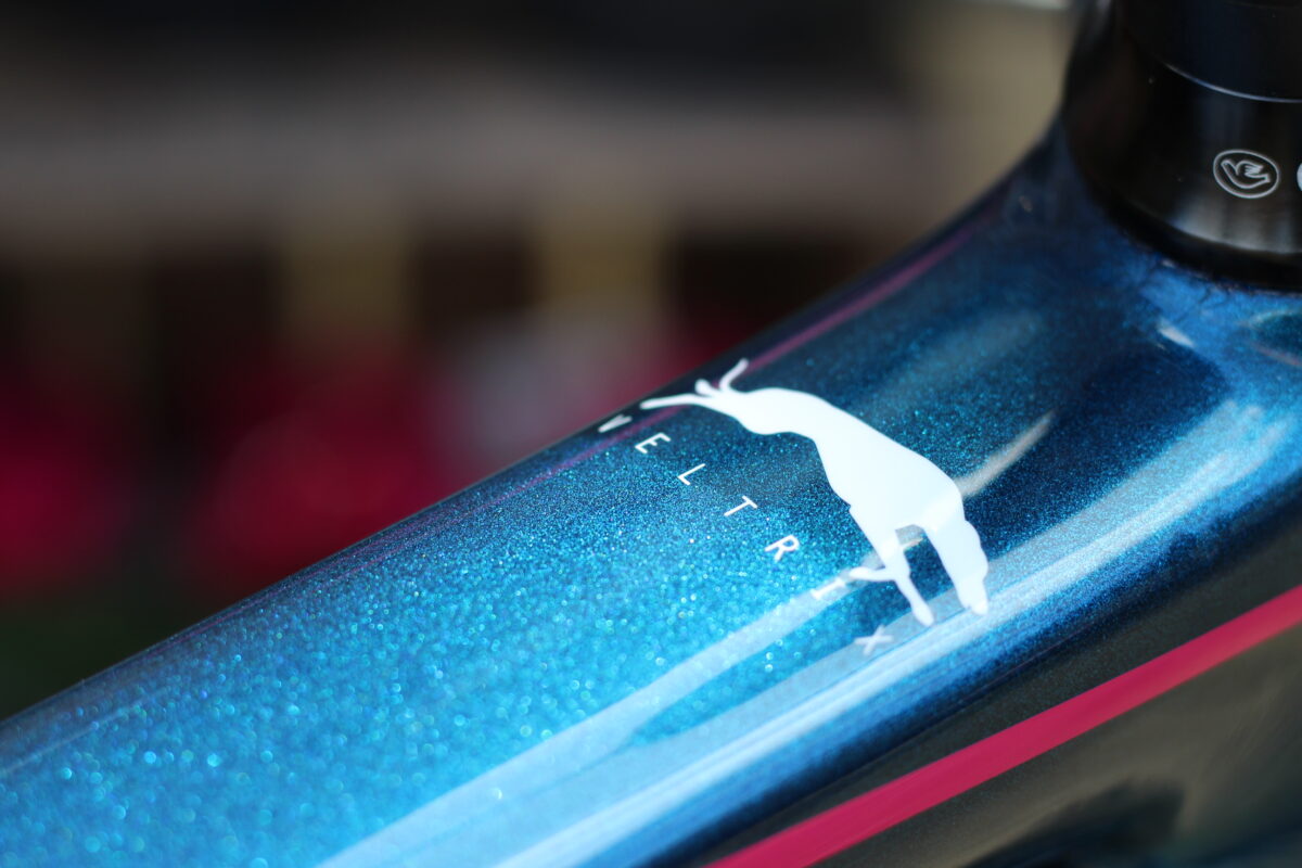 Cinelli Veltrix Disc 2023 2Pedalz Edition – Cyclefit