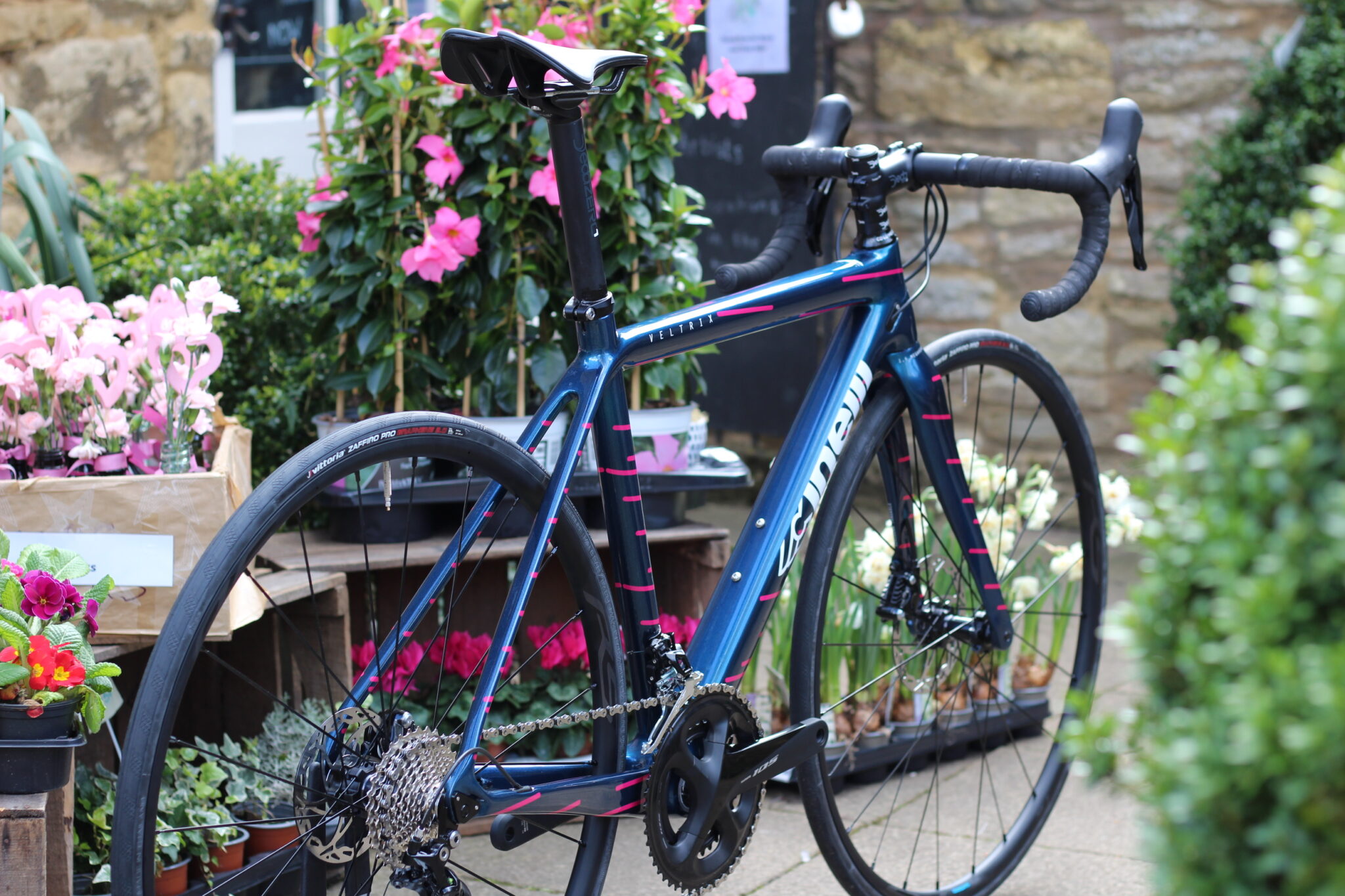 Cinelli Veltrix Disc 2023 2Pedalz Edition – Cyclefit