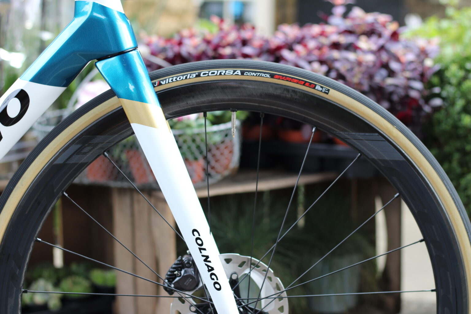 Colnago C68 White / Blue / Gold (530) – Frameset / ULT Di2 / DA Di2 ...