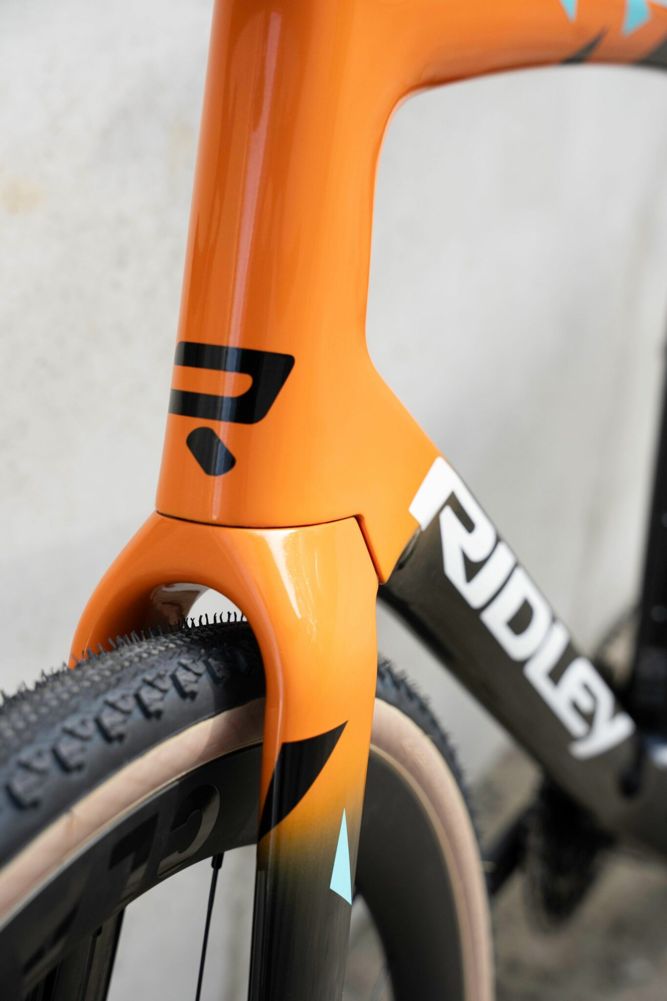 Ridley Kanzo Fast – Cyclefit
