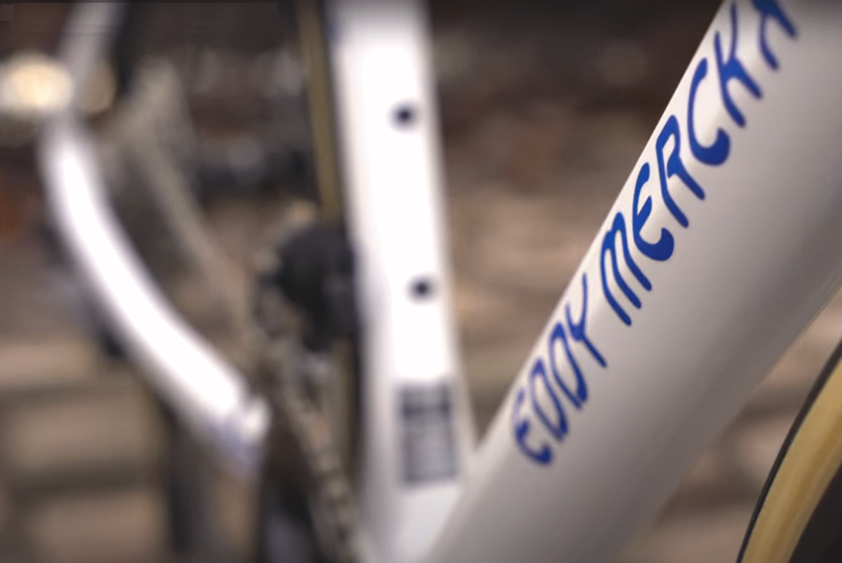 Eddy Merckx 2024 – Cyclefit